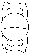 Lenstec Patient Information Website