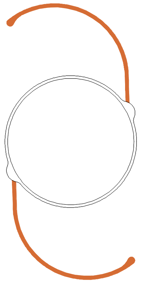 Lenstec Patient Information Website