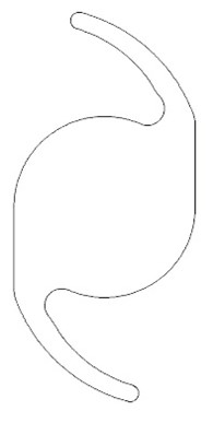 Lenstec Patient Information Website