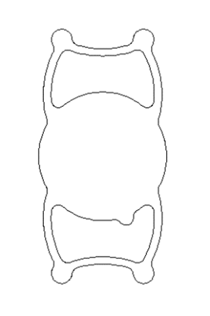 Lenstec Patient Information Website